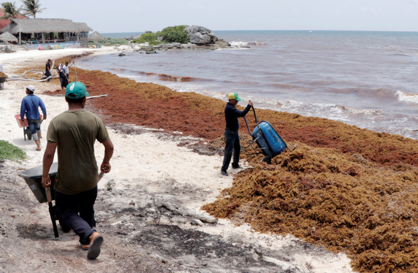 Caribbean environmental disaster meets Israeli innovation – Caribcast