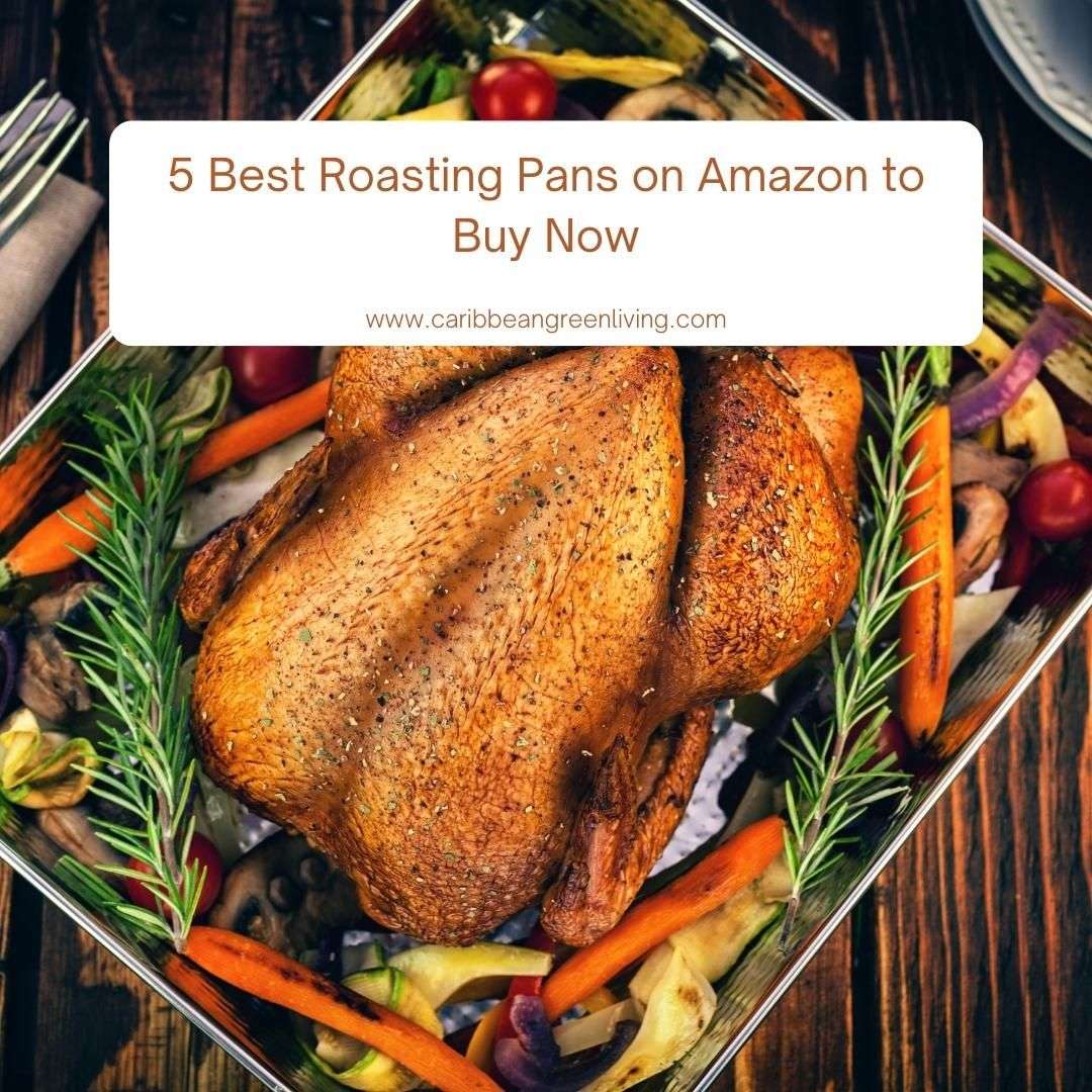 5 Best Roasting Pans on Amazon to Buy Now – Caribcast