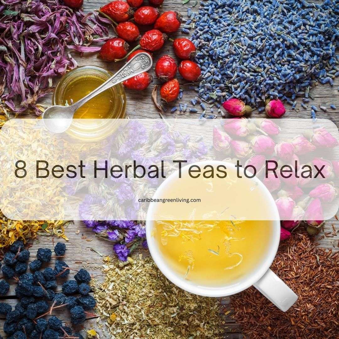 8 Best Herbal Teas to Relax – Caribcast