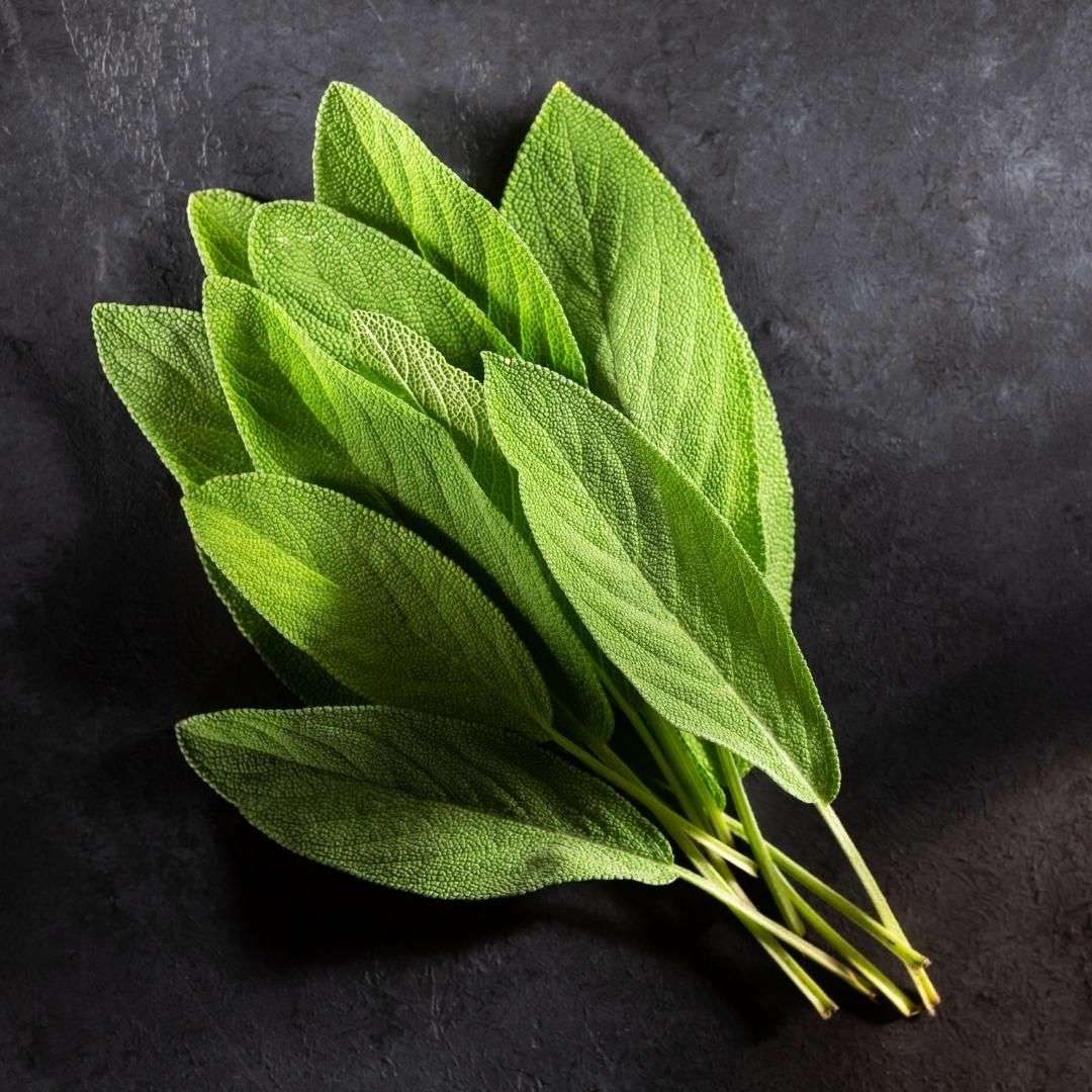 Amazing Sage: What It Is and How to Cook With – Caribcast
