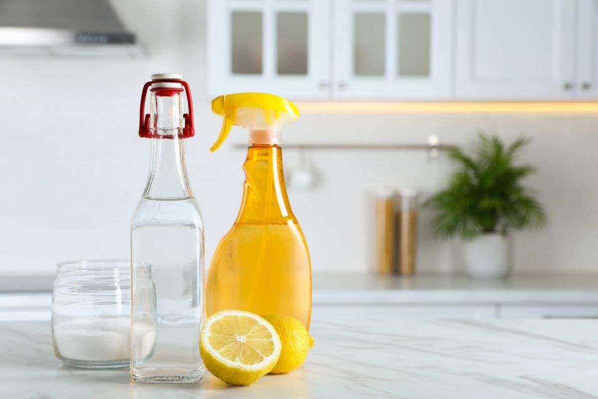 Your Kitchen’s Green Cleaning Guide! Ditch the Chemicals, Shine with ...